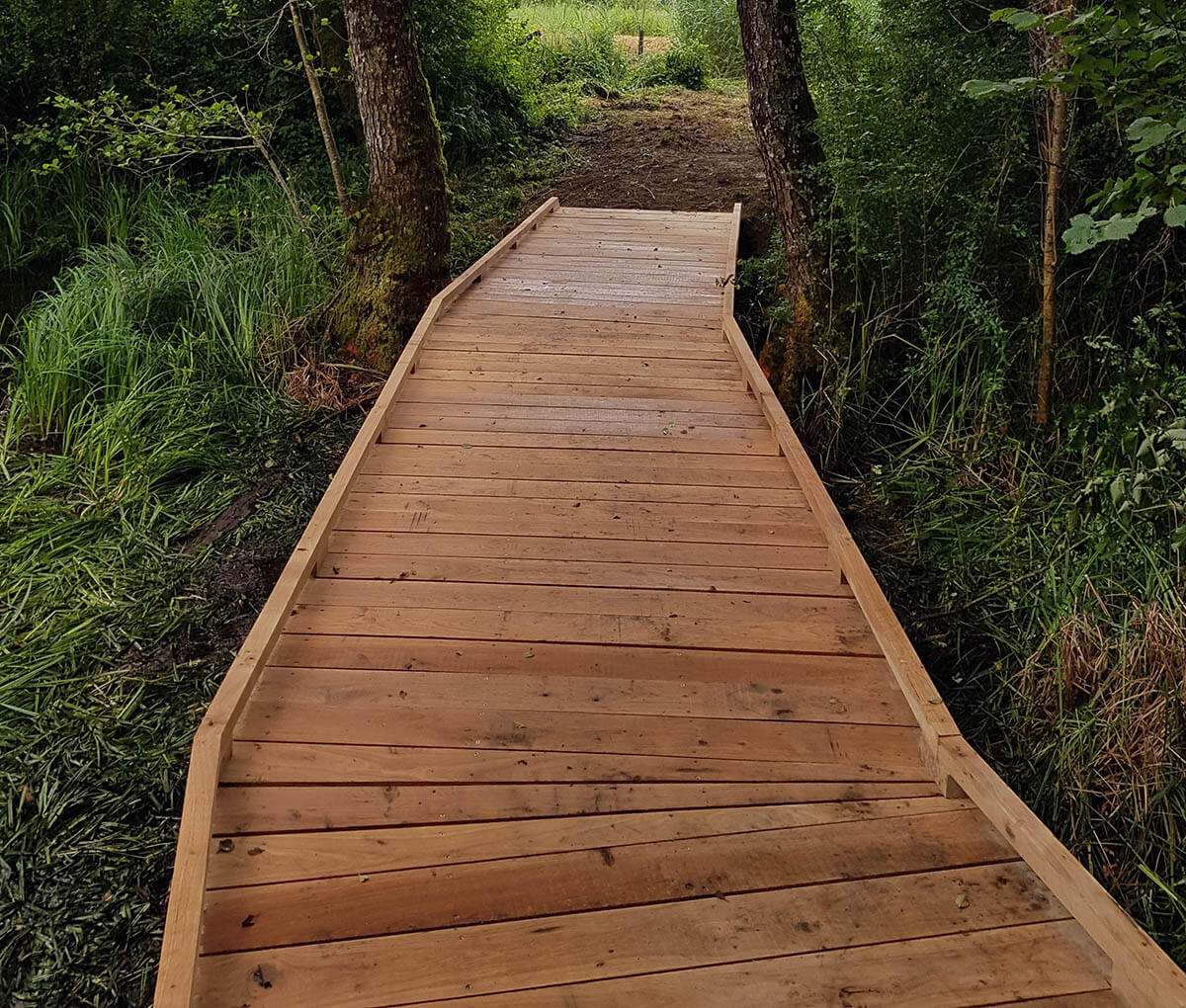 Platelage bois pilotis sur l'ENS des Anciens Meandres du Rhône