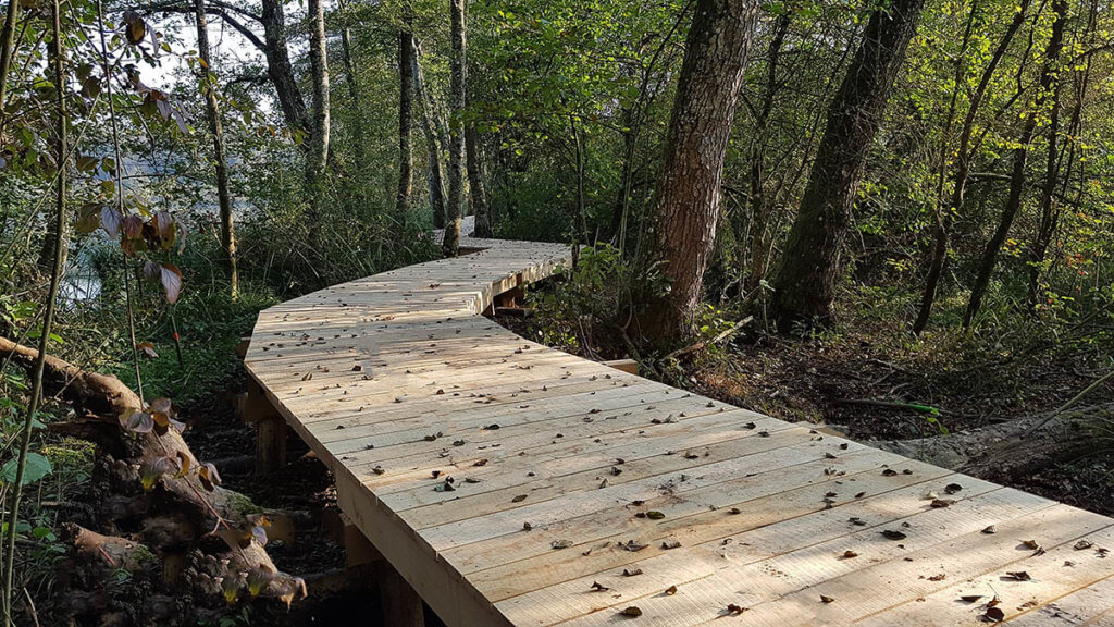 caillebotis_bois_pilotis - Dynamique Environnement